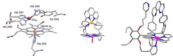 Strapped Porphyrins and Hemoprotein Models – CLIC